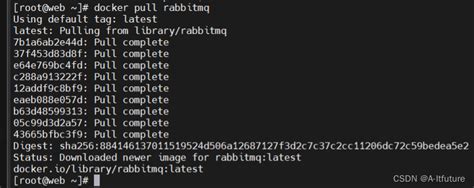 【docker】docker拉取安装镜像时出现docker local error tls bad record mac csdn博客