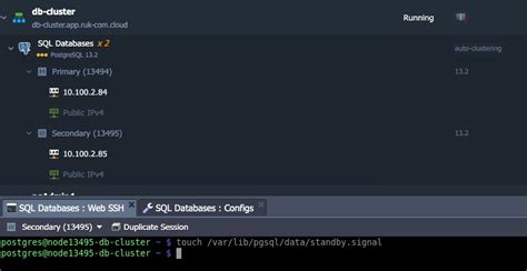 Postgresql Replication คู่มือการใช้งาน Ruk Com Cloud Paas