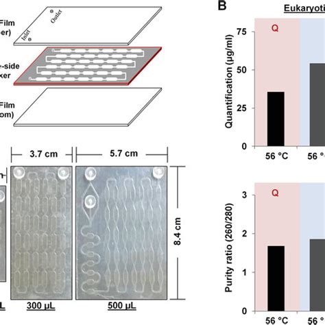Application Of Dts Assay In Eukaryotic Cells A Upper Dts Device Is