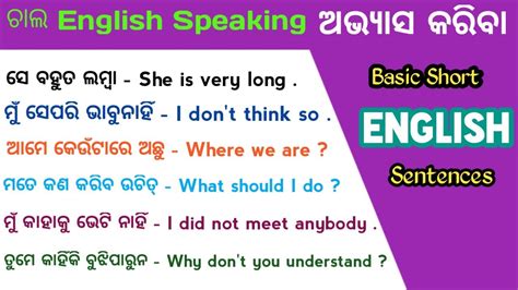 most useful odia english sentences 🔥 simple odia english sentence