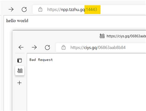 极简一键脚本 搭naiveproxy梯子 自定义端口 与caddy V2前置的vlessvmess V2ray共存 可开cdn