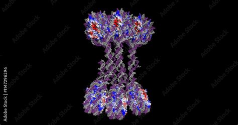 H1 Bound 6 Nucleosome Array 3d Structure With Electrostatic Surface