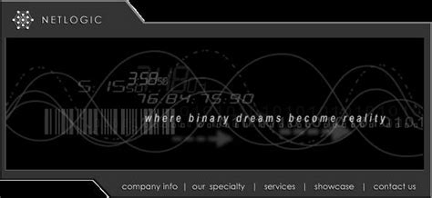 Netlogic Inc New York Ny