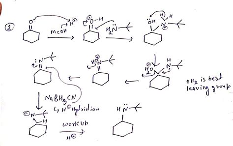 [Solved] Draw structure that makes final product with reactions shown. pH =... | Course Hero