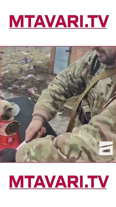 უკრაინელი ჯარისკაცი მეგობრებთან ერთად სადილობს 🐈 ️ Youtube