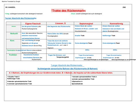 SOLUTION Hirnschranken Kleinhirn Zentrales Nervensystem Histo Zns Erkl