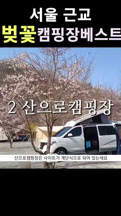 벚꽃 캠핑장 베스트6 봄에는 벚꽃캠핑 이지봄캠핑벚꽃차박벚꽃엔딩 Youtube