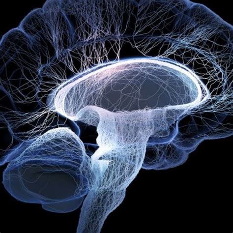 stream neural tech node fix wip by neural tech music listen online