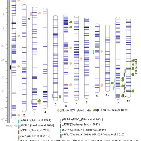 Genomic Distribution And Genome Coverage Of Polymorphic Snp Markers