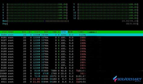 How To Clear Swap Usage On Linux Serverdiary