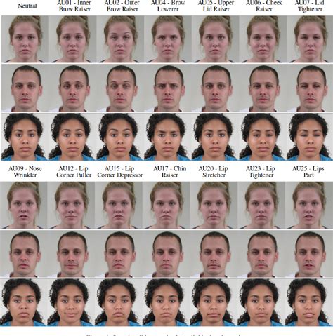 Figure 1 From Perceptually Validated Precise Local Editing For Facial