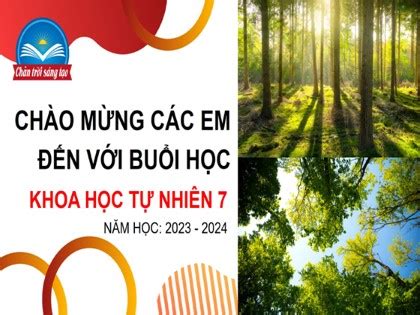 Bài giảng Khoa học tự nhiên Lớp Sách Chân trời sáng tạo Bài Trao đổi nước và các chất