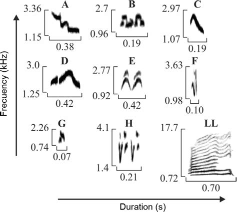 Spectrograms Of The Nine Focal Notes From Songs Ah Call Ll