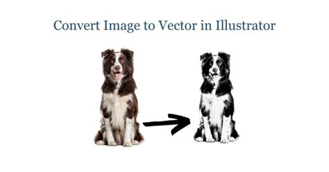 A Comprehensive Guide To Convert Image To Vector In Illustrator