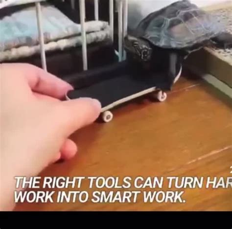 Zain Ul Munir On Linkedin Its Not About Working Harder Its About Working Smarter Poonam