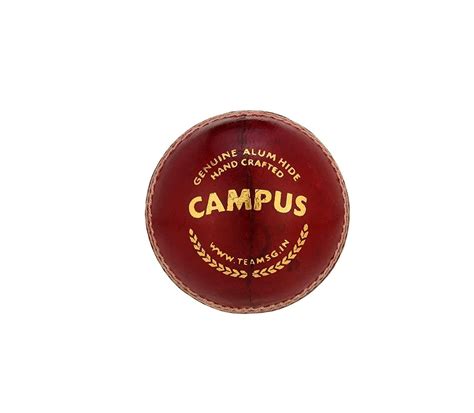 Buy SG Campus Cricket Ball Online In India Sports Galaxy