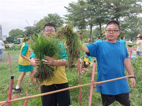 福德國小食農教育暑期營隊 樂玩食驗課涵養學生未來能力