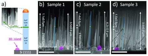 A Schematic Representation Of The Two Staged Growth Procedure B D