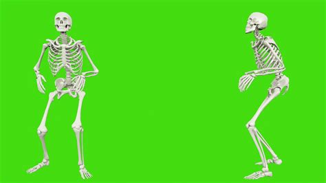 Skeleton Walk Seamless Loop Animation On Stock Motion Graphics SBV-347556296 - Storyblocks