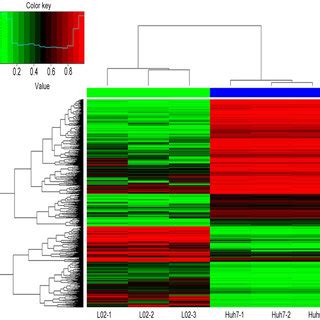 Hierarchical Cluster Analysis Of All Of The Differentially Methylated