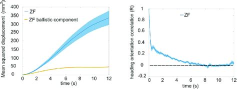 Long Timescale Analysis The Long Timescale Kinematics Helps Us To