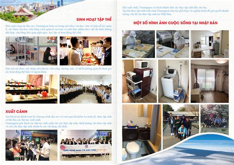 Giới thiệu tổng quan về Công ty Cổ phần Giáo dục Hợp tác Quốc tế Vinanippon Vinanippon