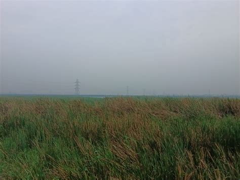 Redmi Pad Review Noteworthy Budget Tablet