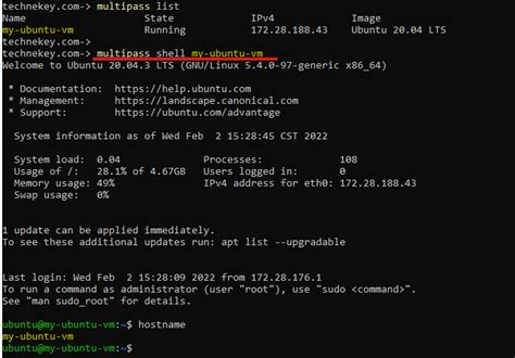 Creating Multiple Virtual Machines Fast Using Multipass