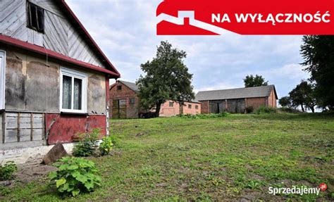 Radomirka Dom I Budynki Gosp Ponad 1ha Gruntu Sprzedajemypl