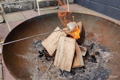 OnePlus Nord Review Who Needs A Pricey Flagship Anyway