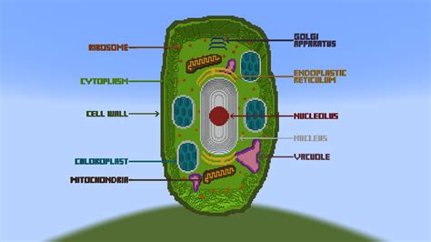 I Made A Plant Cell R Minecraftbuilds