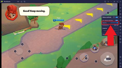 how to view or hide keyboard mouse controls on screen on bluestacks 5