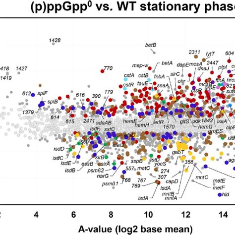 Transcriptome Analysis Reveals An Oxidative And Iron Stress Response In