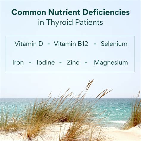 Common Nutrient Deficiencies In Thyroid Disease