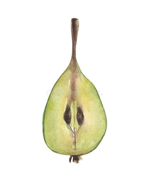 Pear Composition Fresh Yellow Pear Cross Section Half And Whole