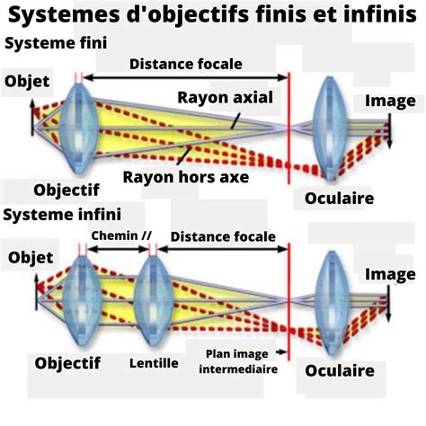 Objectif De Microscope Meilleurs Microscopes