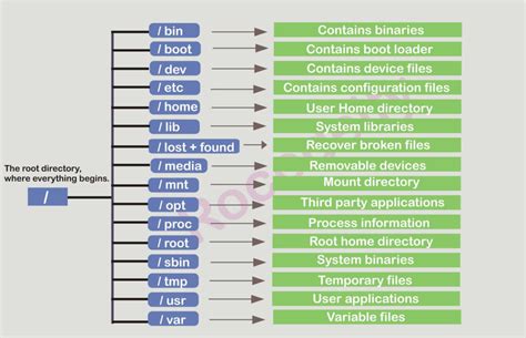Master Linux File System Commands Easy Tips For Beginners Zeenom Technologies