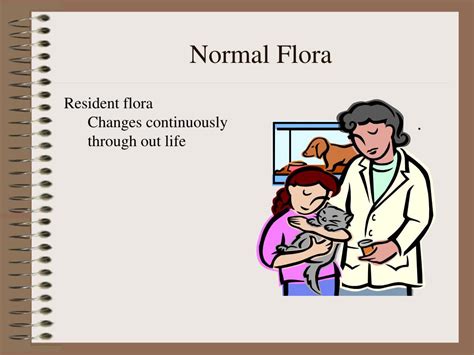 Ppt Normal Flora Powerpoint Presentation Free Download Id4214563
