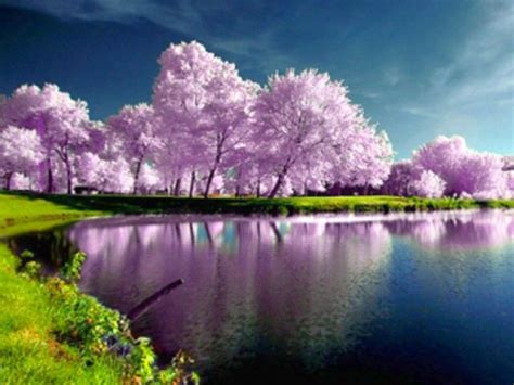 Spring 1024x768 Wallpapers Wallpaper Cave