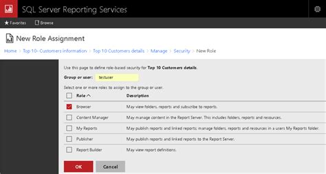 Adding User Comments To Reports In Ssrs