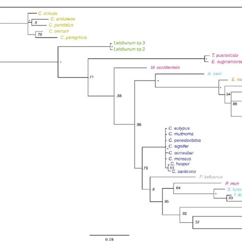 Bayesian Single Gene Tree Of 452 Bp Of Iron Sulfur Cluster Assembly