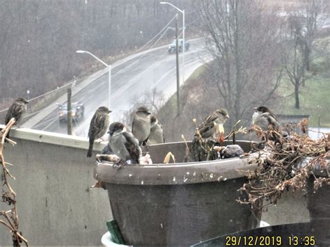 Juro George Knezic On Linkedin Here Are The Tactics Of The Ruling