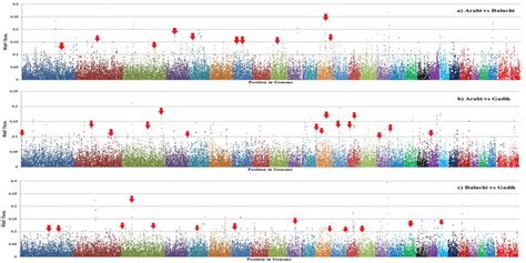 Distribution Of Selective Sweep Signatures For Different Comparisons In