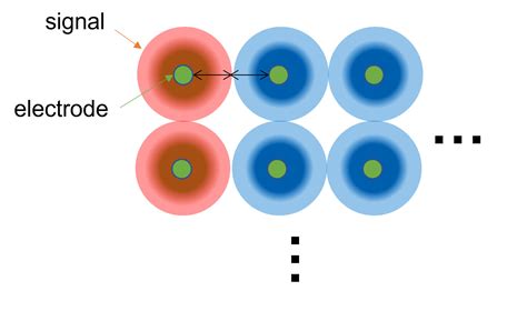 Display Area Of Ecog Signals On Cortex Are Too Large Discussions