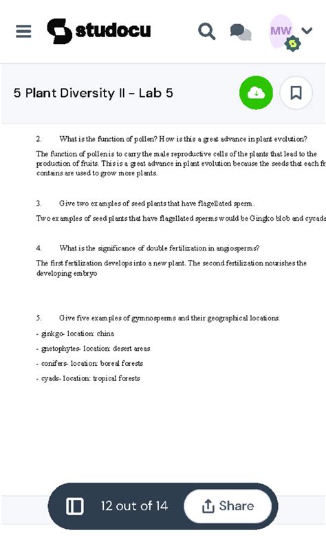 5 Plant Diversity Ii Lab 5 Gymnosperms Activity 1 Pinus