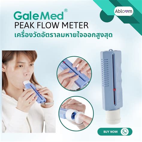 Peak Flow Meter Evidence Based Practice At Jerry Matos Blog