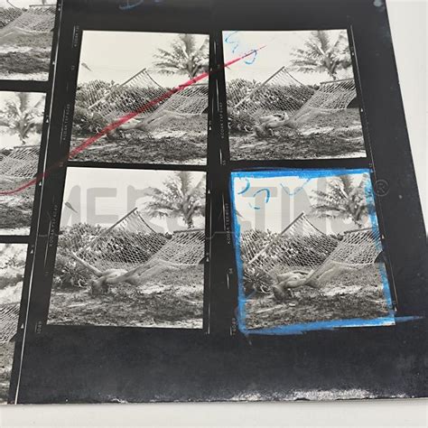 Negativi Fotografie Madonna Juliens Auction Sex Contact Sheet Mercatino Dellusato Corbetta