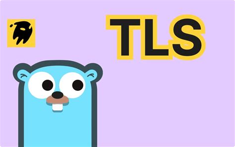 Complete Tls Workflow In Golang Made Simple Full Process Explained