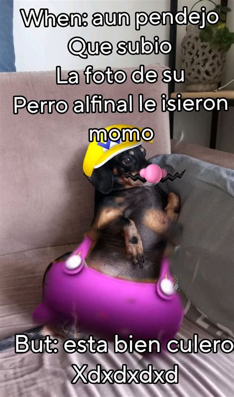 Últimos Memes Memedroid