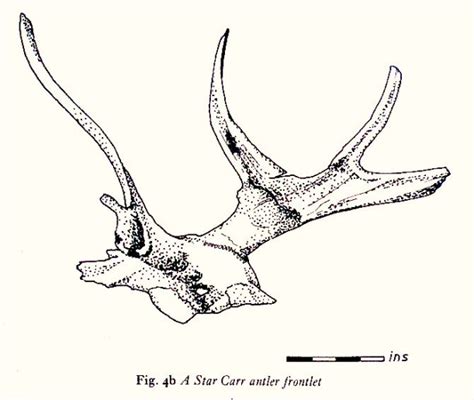 13 August 2019 The Journal Of Antiquities